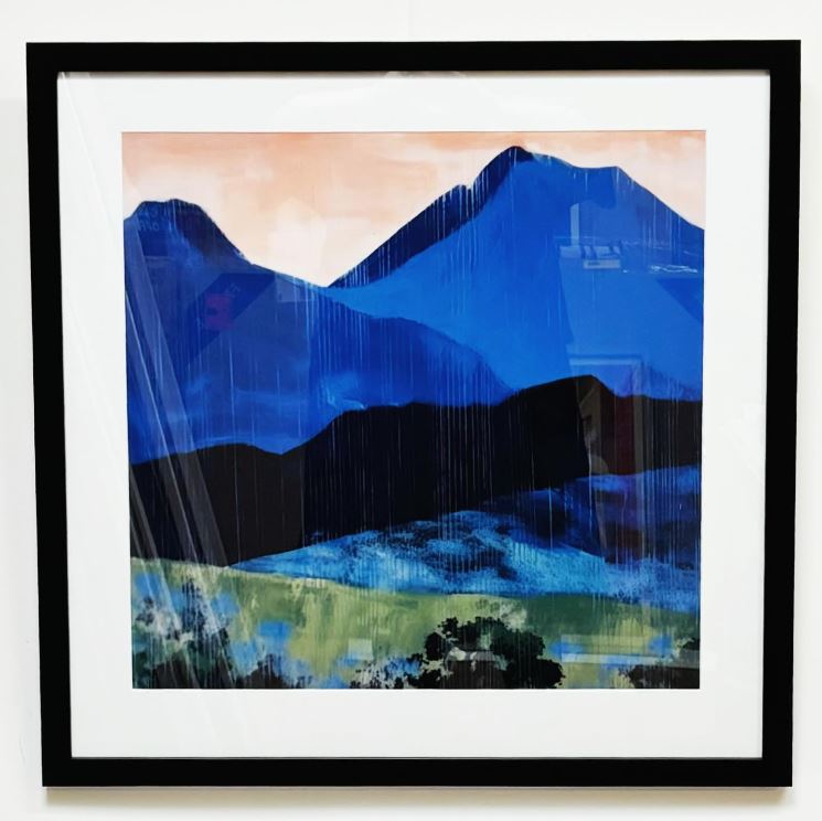 Collections – The Picture Box